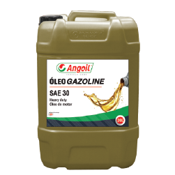 National Shares Investment